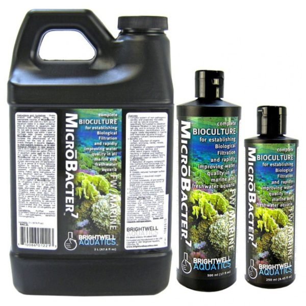 brightWell microbacter 7 bacteria – MyAquariumshops