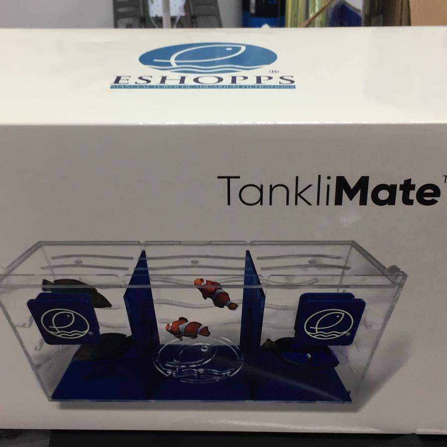TANK SET – MyAquariumshops