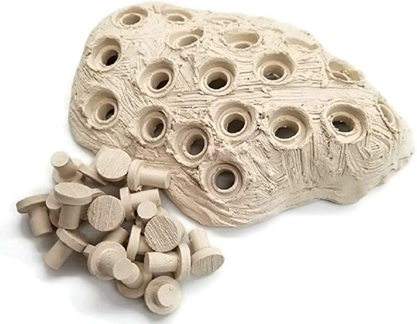 Ocean wonder coral frag hub 20.0 – MyAquariumshops