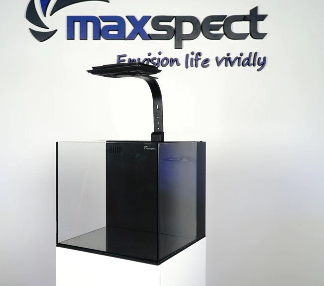 **NEW** MAXSPECT DESKTOP TANK – MyAquariumshops