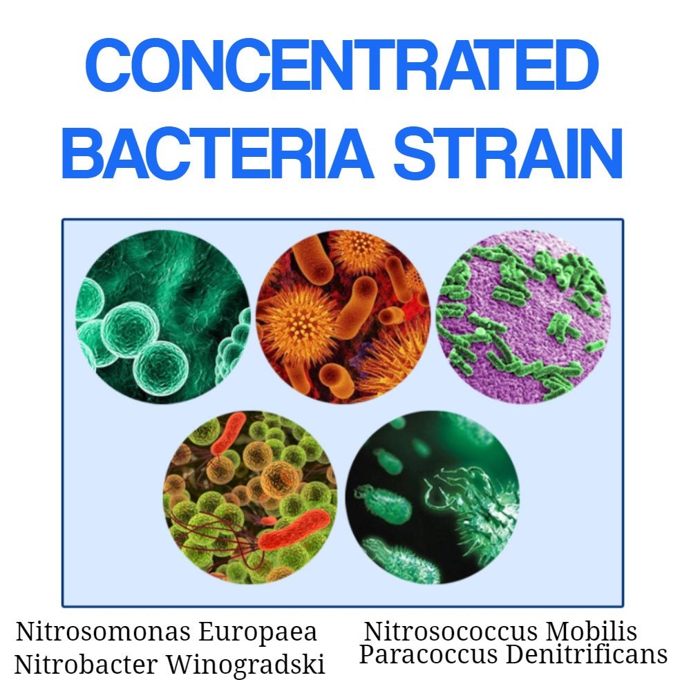 Nitrobac concentrated Aquarium Bacteria Capsule Nitrifying Bacteria fo ...